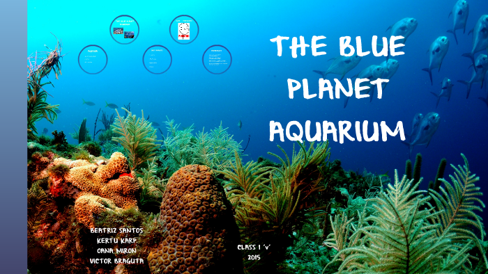 THE BLUE PLANET AQUARIUM by Beatriz Santos on Prezi