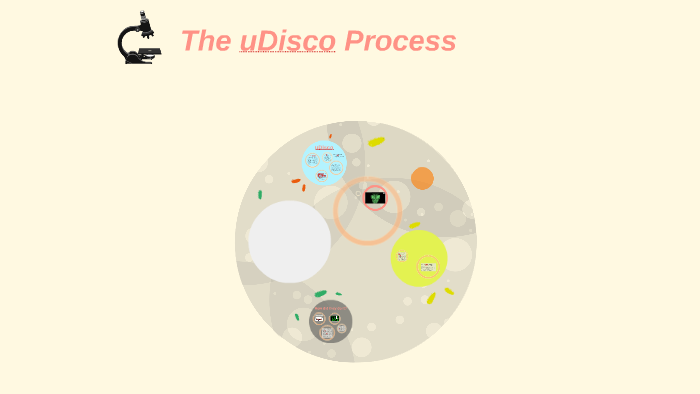 The uDisco Process by Steffi Li Bi on Prezi