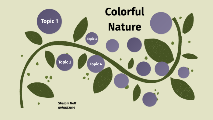 Coco : Heroes Journey by Shalom Neff on Prezi