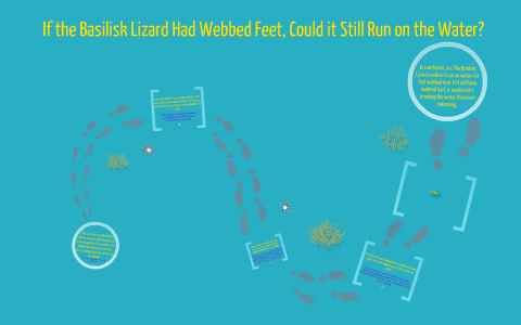 If a Basalisk Lizard Had Webbed Feet, Could it Still Run on the Water ...