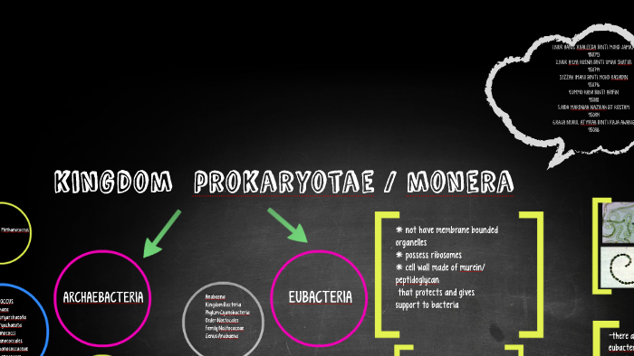 kingdom prokaryotae/monera by alya husna on Prezi