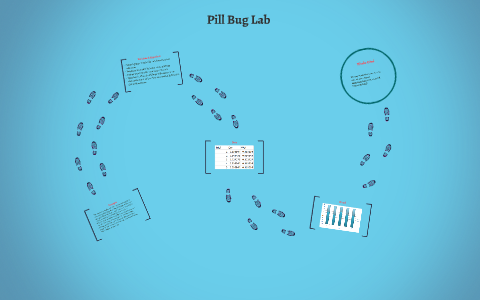 Pill Bug Lab by Michelle Reyes on Prezi