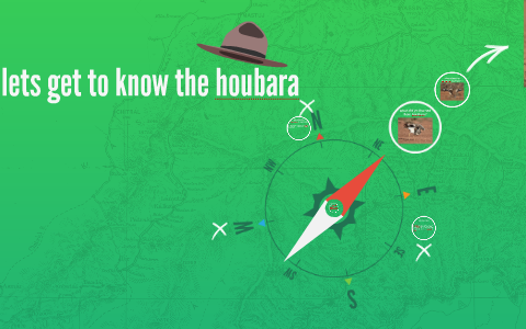 houbara conservation by alhanoof alnaqbi on Prezi