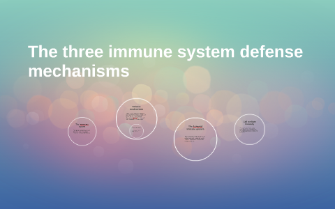 The three immune system defense mechanisms by Rene Villegas