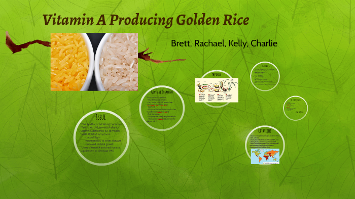 Vitamin A Producing Golden Rice by Charlie Robinson on Prezi