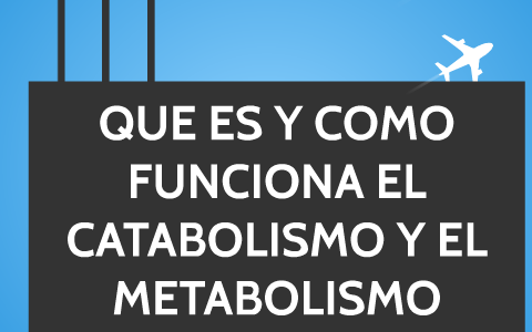 QUE ES Y COMO FUNCIONA EL CATABOLISMO Y EL METABOLISMO by Anderson ...