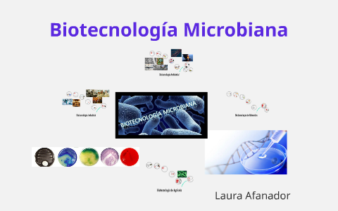 Biotecnología Microbiana by Laura Afanador on Prezi