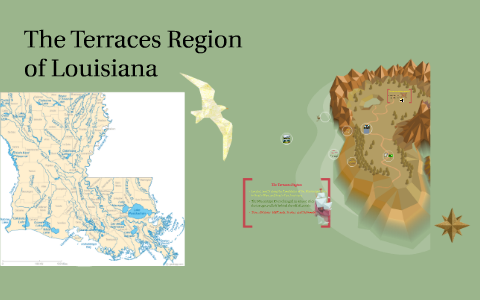 the terraces region of louisiana by Neil Gharana on Prezi