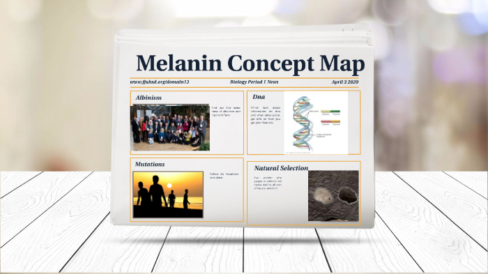 Melanin Concept Map by Alyssa Cantu on Prezi