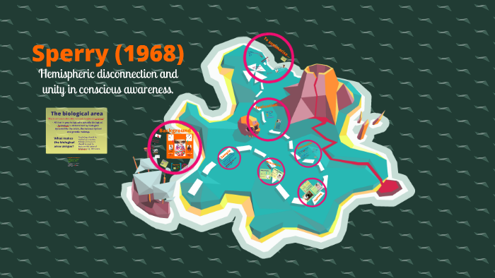 Sperry (1968) Split Brains by Rajiv Ariaraj on Prezi