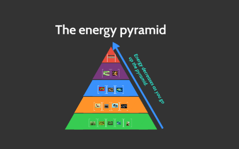 The energy pyramid by Leah Donnelly on Prezi