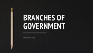BRANCHES OF GOVERNMENT IN BELIZE by Aloma Hall on Prezi Design