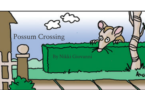 Possum Crossing by Vinny Greco on Prezi