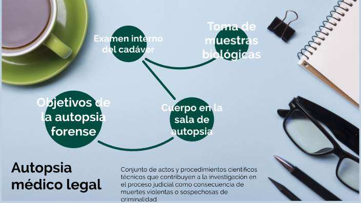 Diagrama de flujo sobre la autopsia forense by Cristhian Alejandro ...