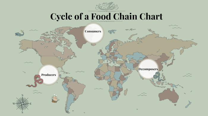 Food chain chart by Christopher Lee on Prezi