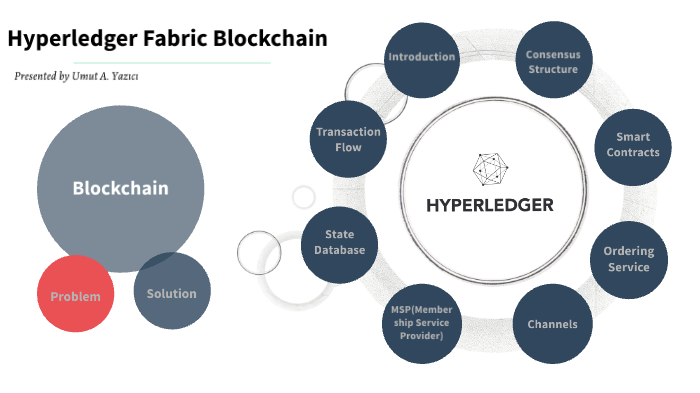 Hyperledger Fabric Blockchain-Presentation(Sap Inside Track) by umut ...