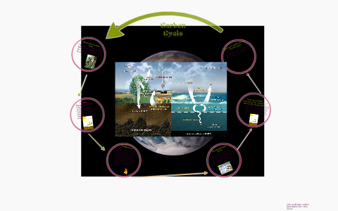 The Carbon Cycle by Steven Whitcomb on Prezi