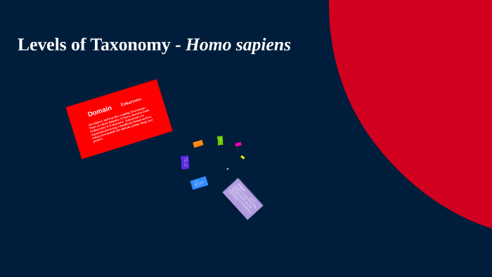 Levels of Taxonomy - Homo sapiens by Wilson Curtis on Prezi