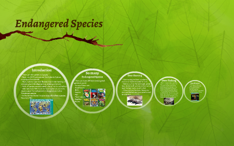 Endangered Species by on Prezi