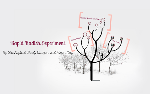 Rapid Radish Plant Experiment by Zac England on Prezi