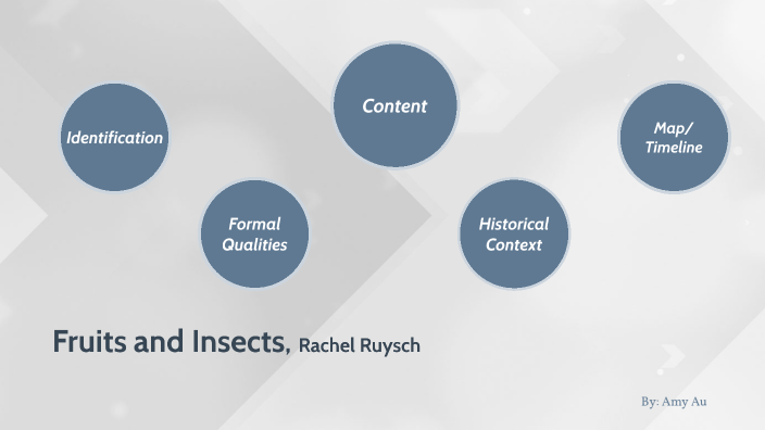 Rachel Ruysch, Fruit and Insects by Amy on Prezi