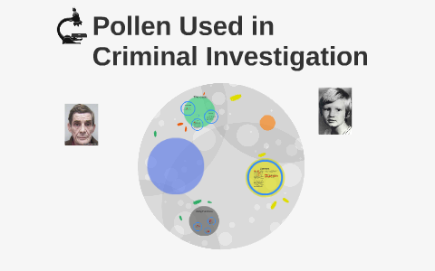 Pollen used in criminal Investigation by Cameron Snow on Prezi