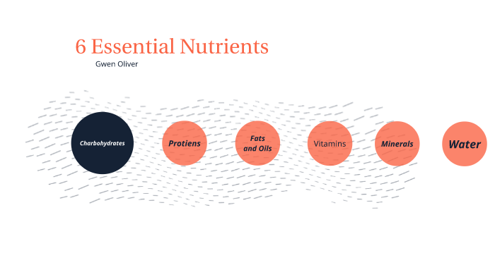 6 Essential Nutrients by Gwen Oliver on Prezi