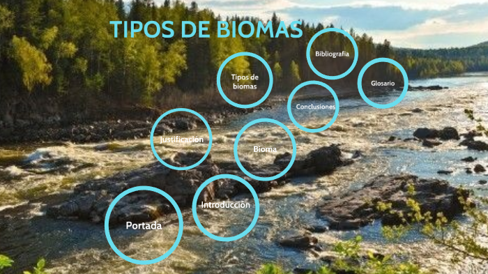 Tipos de Biomas by Alfredo Tun Hernández on Prezi
