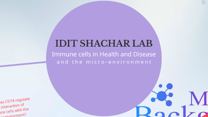 Idit Shachar Lab by Lihi Radomir on Prezi