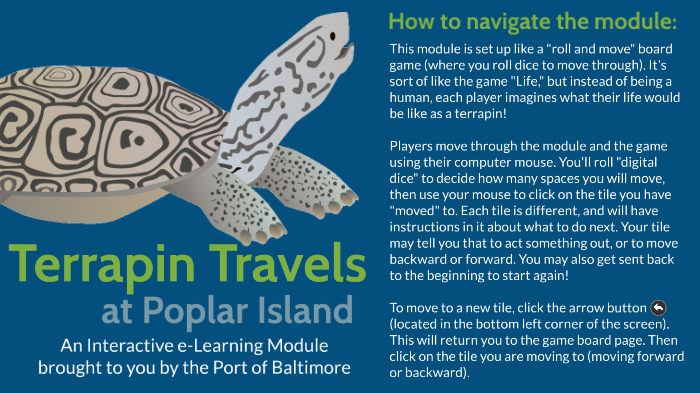 MES Terrapin Travels by Mary Chiarella on Prezi