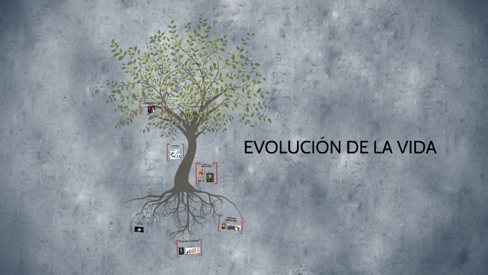 EVOLUCION DE LA VIDA by ivan fidel tapia coyllo