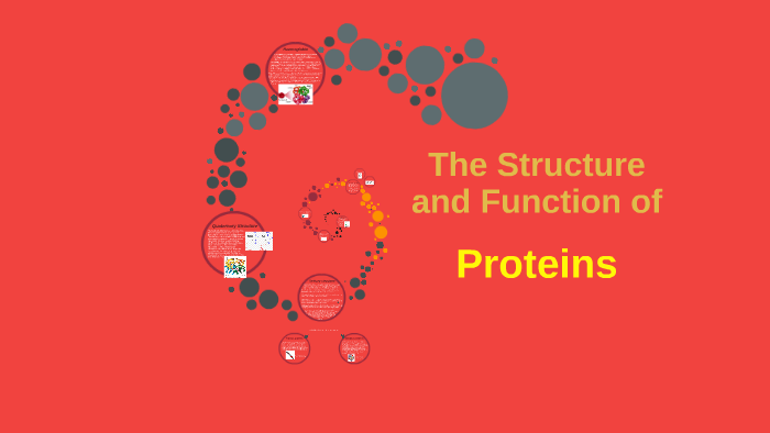 The Structure and Function of Proteins by Isobel Butler on Prezi