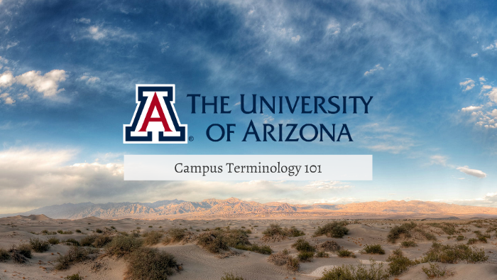College Terminology 101 By Rae Palmer college-terminology-101-by-rae-palmer