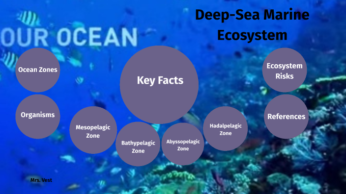 Deep-Sea Ecosystem by Alyssa Gaddy on Prezi