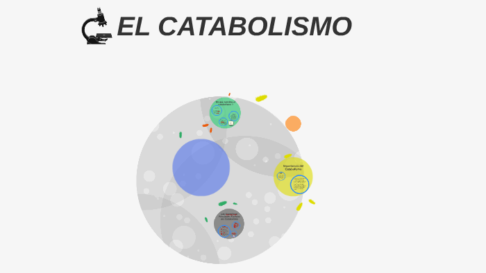 EL CATABOLISMO by Will Lemus on Prezi