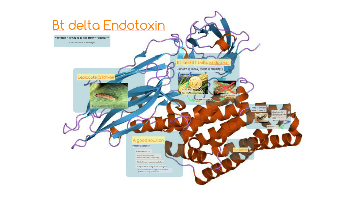 Bt delta Endotoxin by anne desaint on Prezi