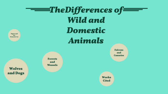 Differences of Wild and Domestic Animals by Emma Mark on Prezi