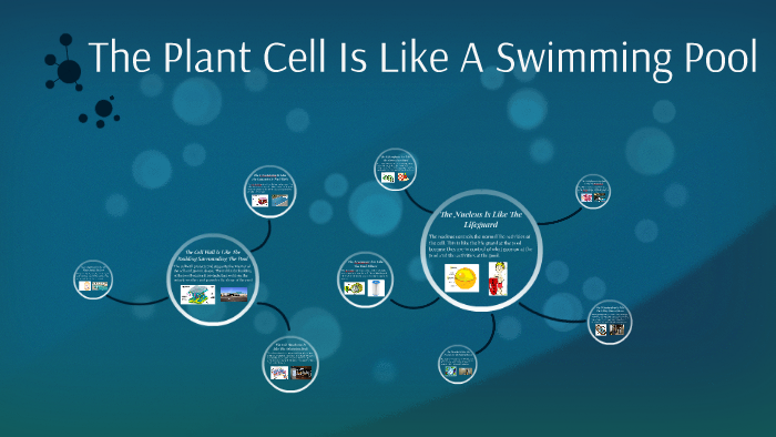 The Cell Is Like A Swimming Pool by Jazlyn Martens on Prezi