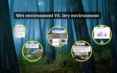 Wet environment VS. Dry environment by esme cortez on Prezi