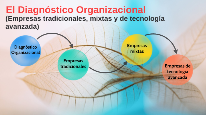 El diagnóstico organizacional by Judi Reyes on Prezi