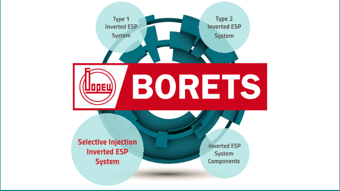 Selective Injection Inverted ESP System by Alla Moskvicheva on Prezi