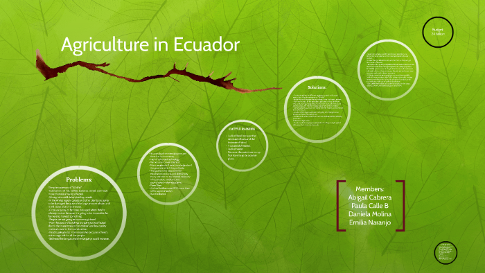 Agriculture in Ecuador by pau c burneo on Prezi