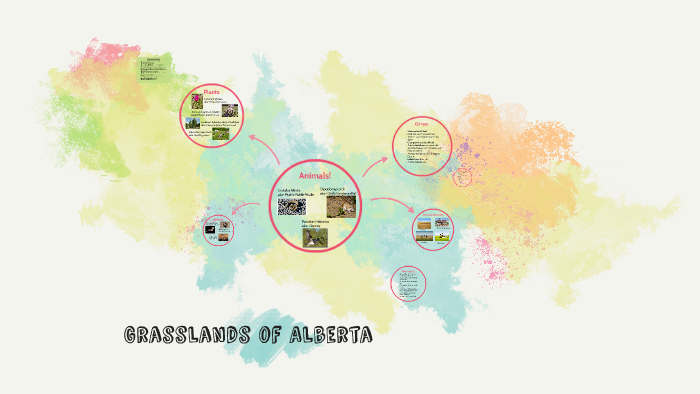 Grasslands of Alberta by Kam Greene