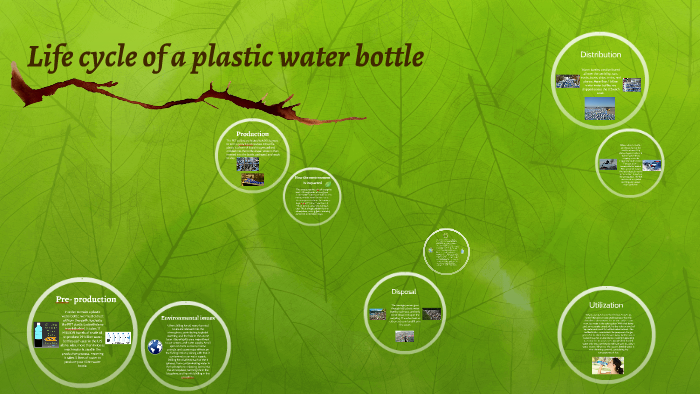 Life cycle of a plastic water bottle by Meghan Hurlbut on Prezi
