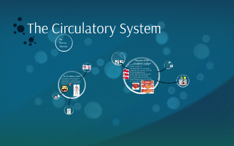 The Circulatory System by Bisma Naeem on Prezi