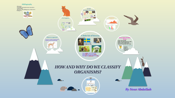 HOW AND WHY DO WE CLASSIFY ORGANISMS by nour abdallah