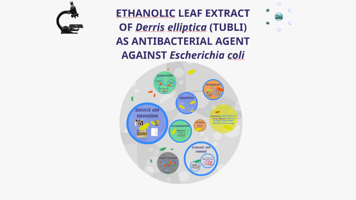 ETHANOLIC LEAF EXTRACT OF Derris elliptica (TUBLI) AS ANTIBA by Audrey ...