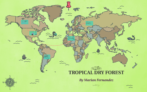 TROPICAL DRY FOREST by Gilbert Beilshdmit on Prezi