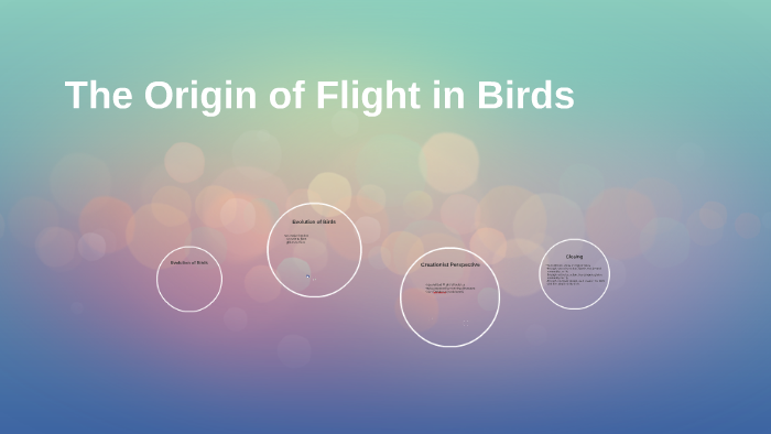 The Origin of Flight in Birds by Josh Thomson on Prezi
