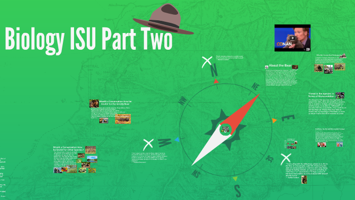 Grizzly Bear: Biology ISU Part 2 by Sydney Finch on Prezi